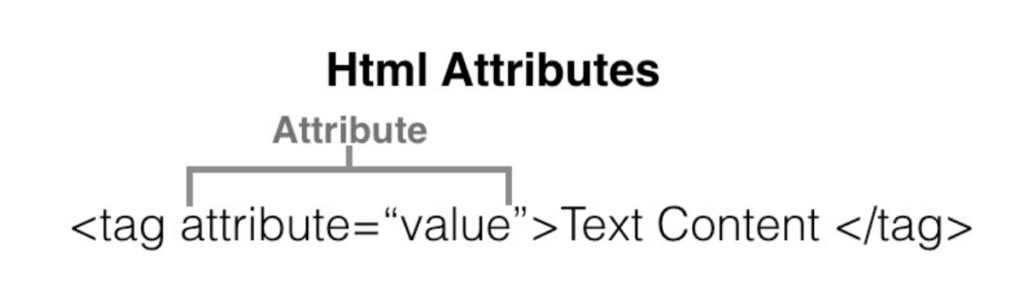 HTML Attribute คืออะไร ? ใช้งานอย่างไร ให้ถูกต้อง
